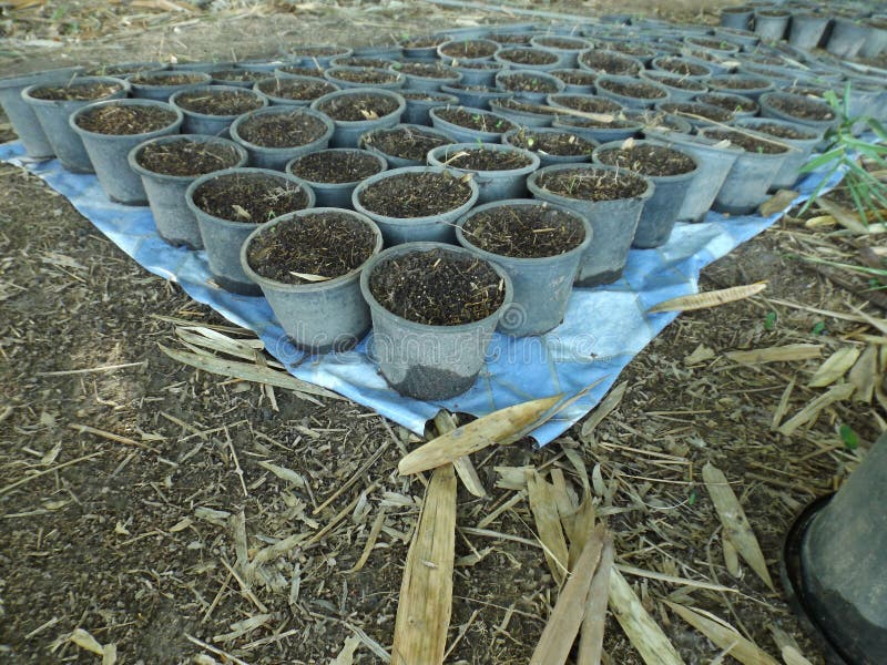 Pots with Soil stock image. Image of beginning, ground - 55150763
