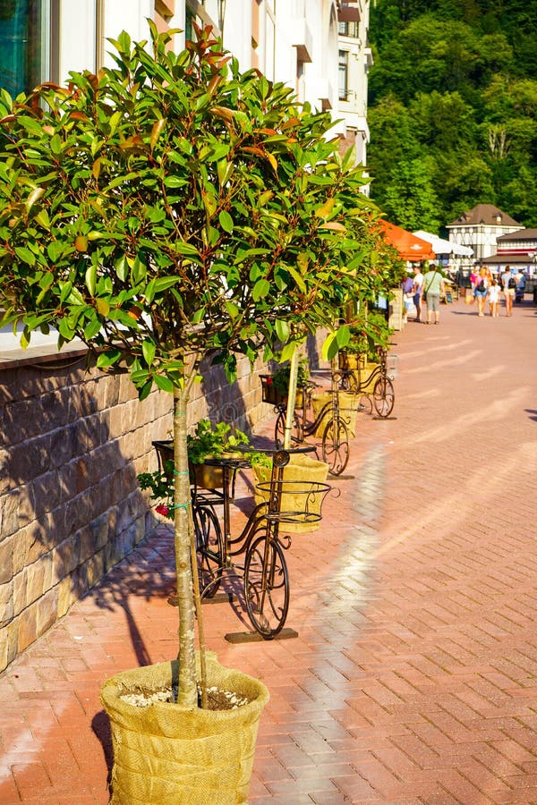 Pots on the street stock photo. Image of landscape, flower - 199795584