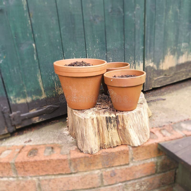 Pots on tree stump stock photo. Image of brick, stump - 247633010
