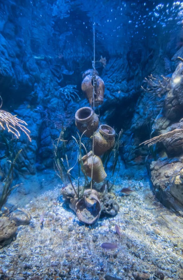 Pots under the sea stock image. Image of collection, reflections - 78682379