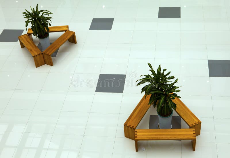 Potted flower stock image. Image of comfortable, hotel - 34971257