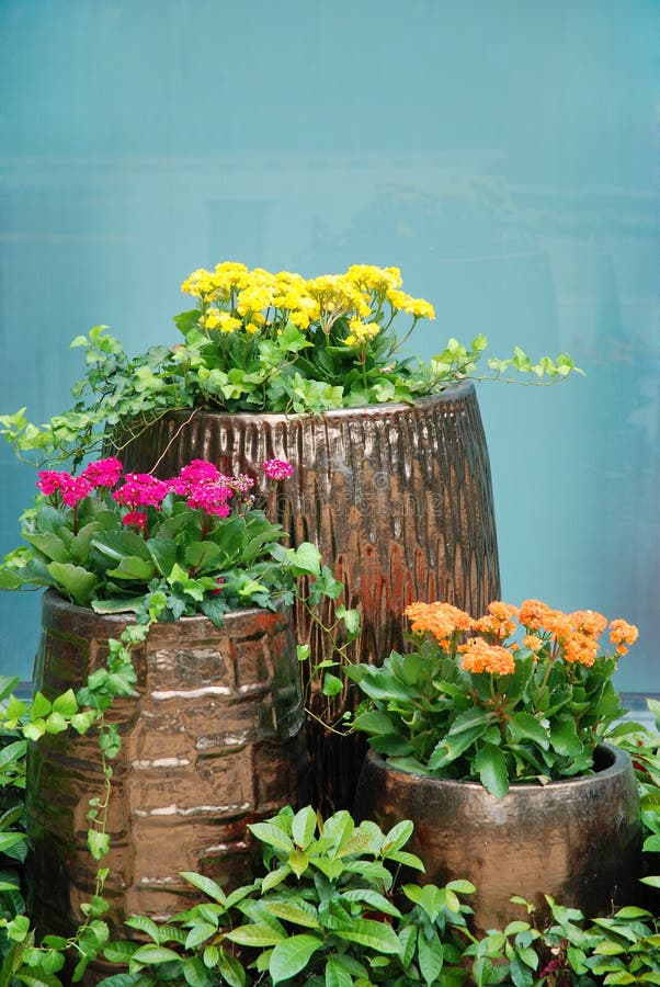 Potted flowers stock image. Image of seasonal, composition - 44272951