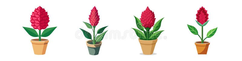 Stylized ginger isolated stock illustration. Illustration of abstract ...