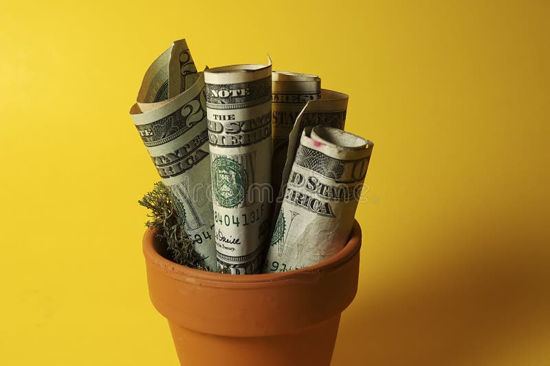 Potted Money stock image. Image of savings, banking, metaphor - 17543
