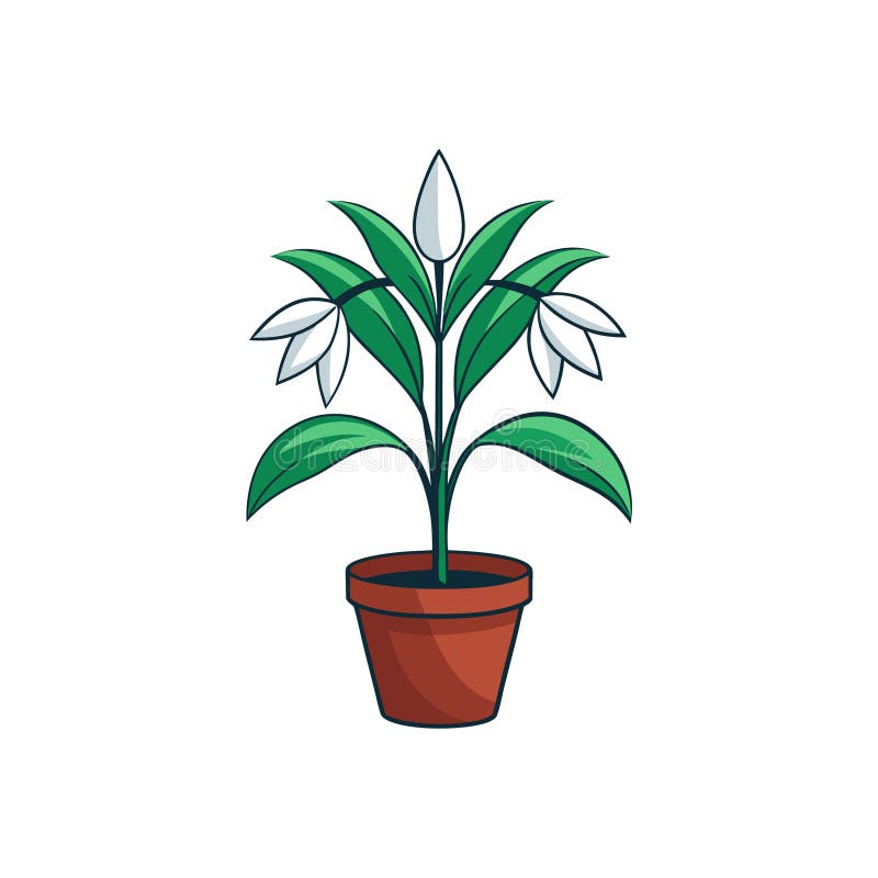 Potted Peace Lily Vector Illustration Stock Illustration - Illustration ...
