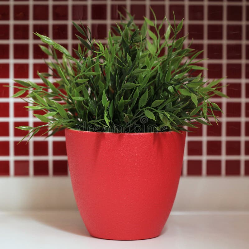 Potted plant stock photo. Image of nature, view, flora - 32332840