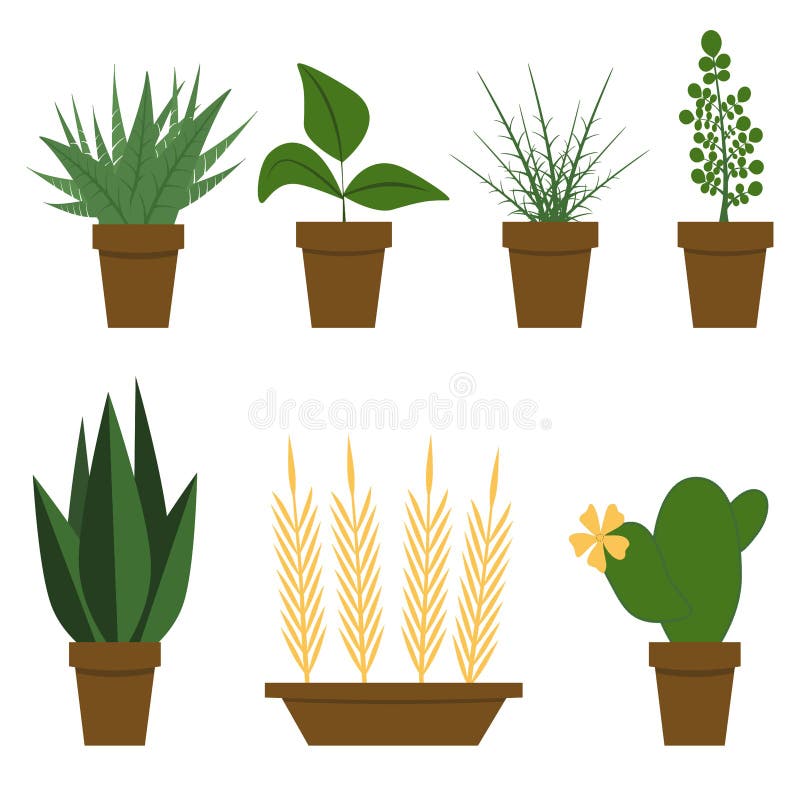 Potted Plant Set. Vector Illustration Stock Vector - Illustration of ...
