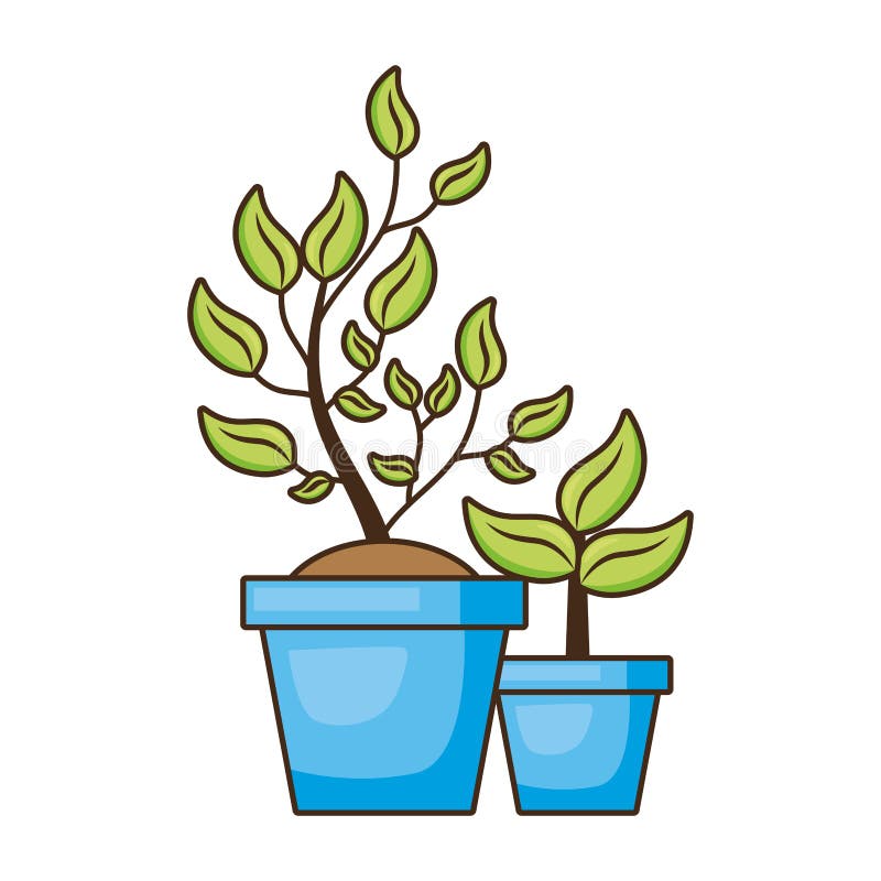 Potted plant tree stock vector. Illustration of tree - 144305935