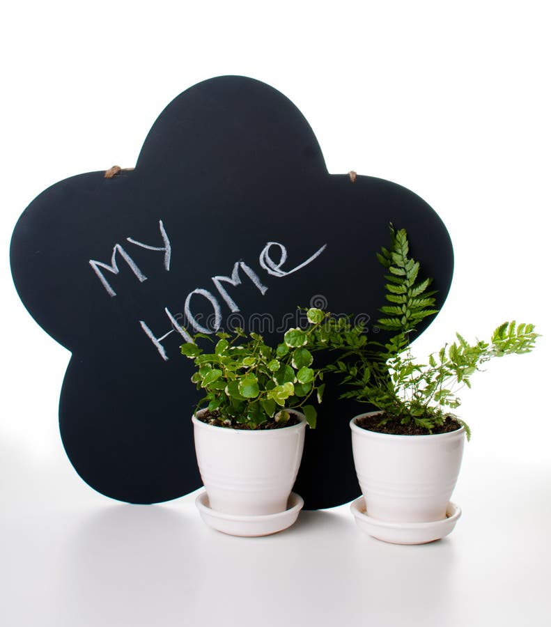 Potted Plants and a Chalk Board Stock Photo - Image of foliage, fern ...