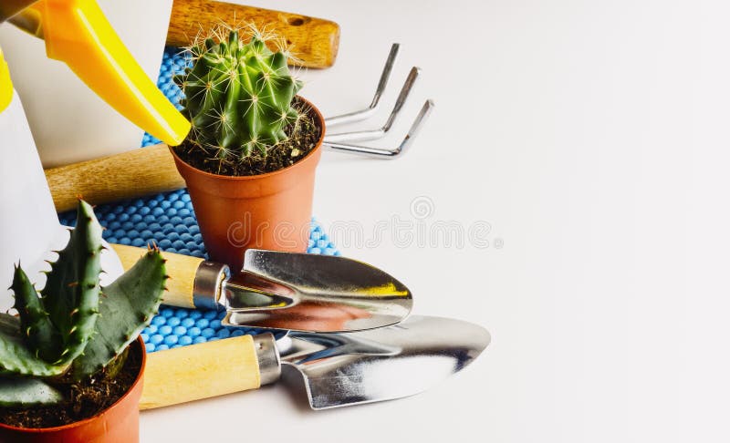 Potted Plants and Handmade Garden Tools Stock Photo - Image of rake ...