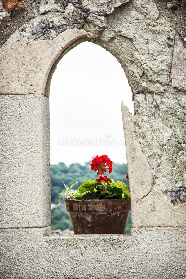 Potted Red Flower in Stone Window, Architecture Element Stock Image ...