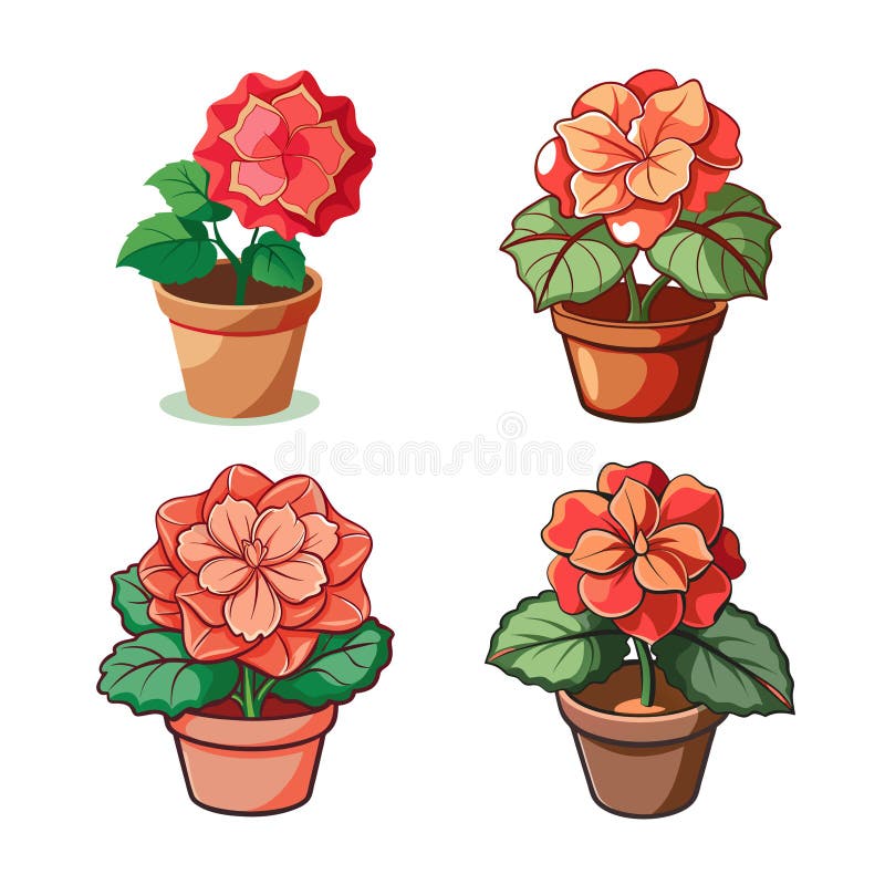 Potted Rose Flower Illustration on White Background Stock Vector ...
