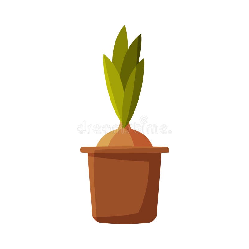Potted Spring Flower Bulb Flat Style Vector Illustration on White ...