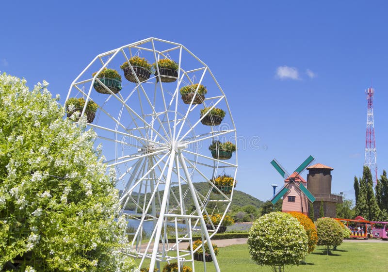 Potted tree stock photo. Image of greenery, idea, amusement - 34244314