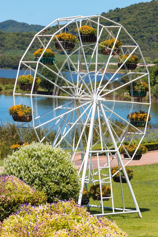 Potted tree stock image. Image of decor, artistic, landscape - 35121607