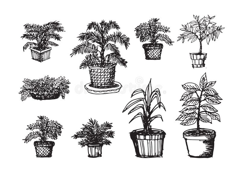 Potted Tropical Tree Stock Illustrations – 12,584 Potted Tropical Tree ...