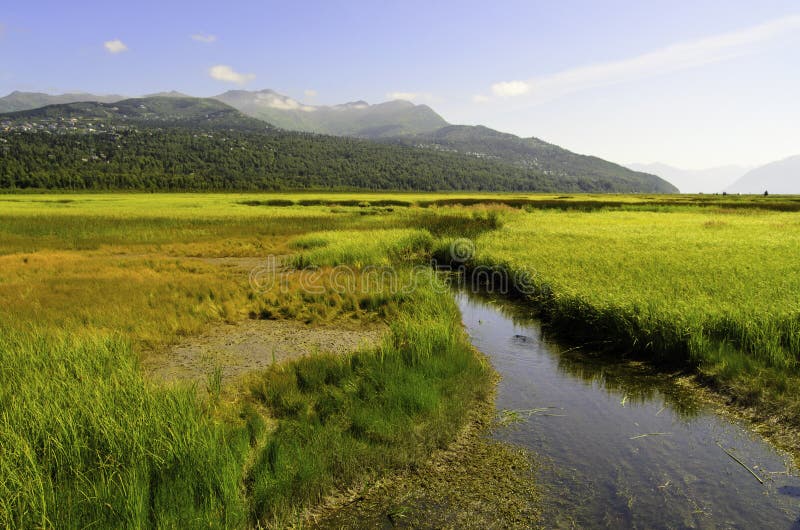Potters marsh in Alaska stock image. Image of nonurban - 32679417