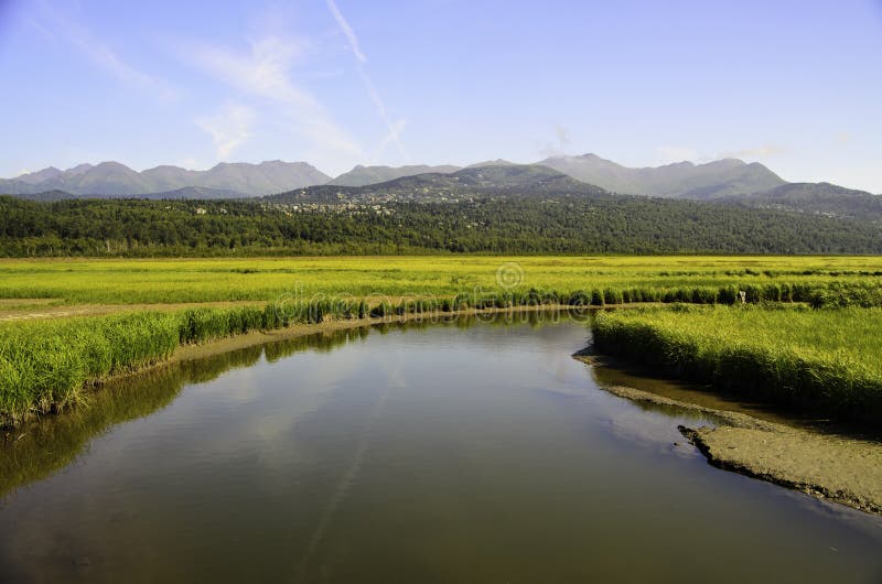 Potters marsh in Alaska stock image. Image of landscape - 32687749