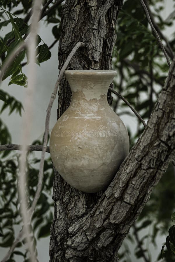 Pottery at the tree stock image. Image of snow, beak - 204401051