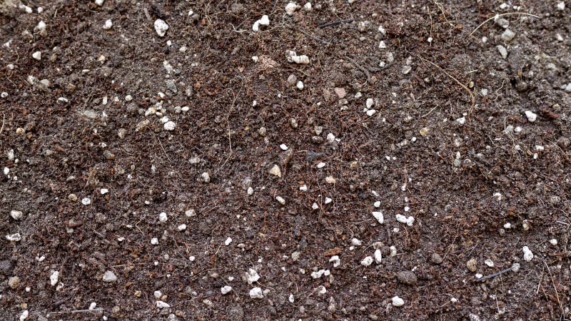 Seamless Potting Soil Texture