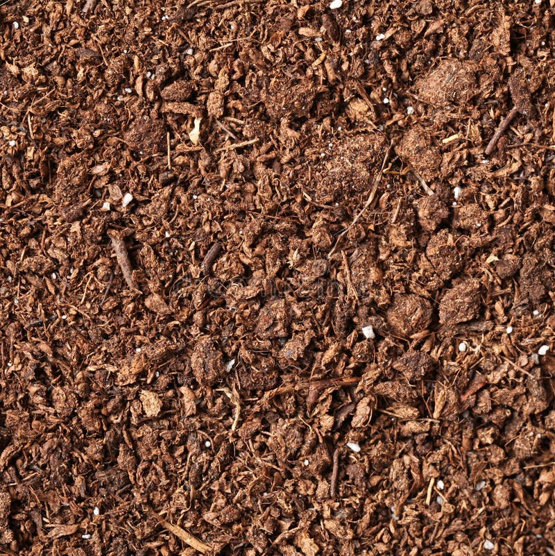 Potting soil texture stock image. Image of brown, organic - 301145385