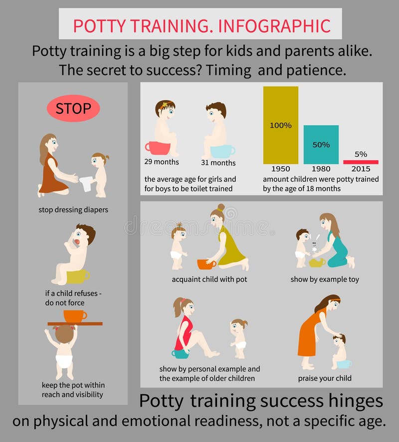 Potty Training. Infographic Stock Vector - Illustration of mother ... Potty Training. Infographic Stock Vector - Illustration of mother ...