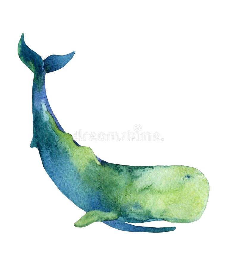 Potvis Op Witte Achtergrond Wordt Geïsoleerd Die Stock Illustratie ...