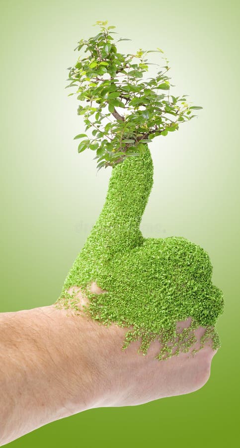 Pouce vert image stock. Image du jardinier, métaphore - 7482965