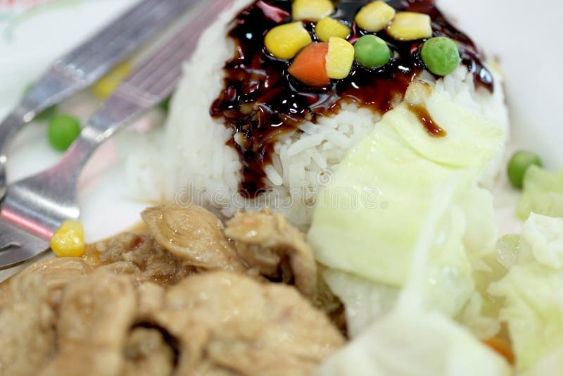 Poulet Rôti Avec De La Sauce Sur Le Riz. Image stock - Image du griller ...