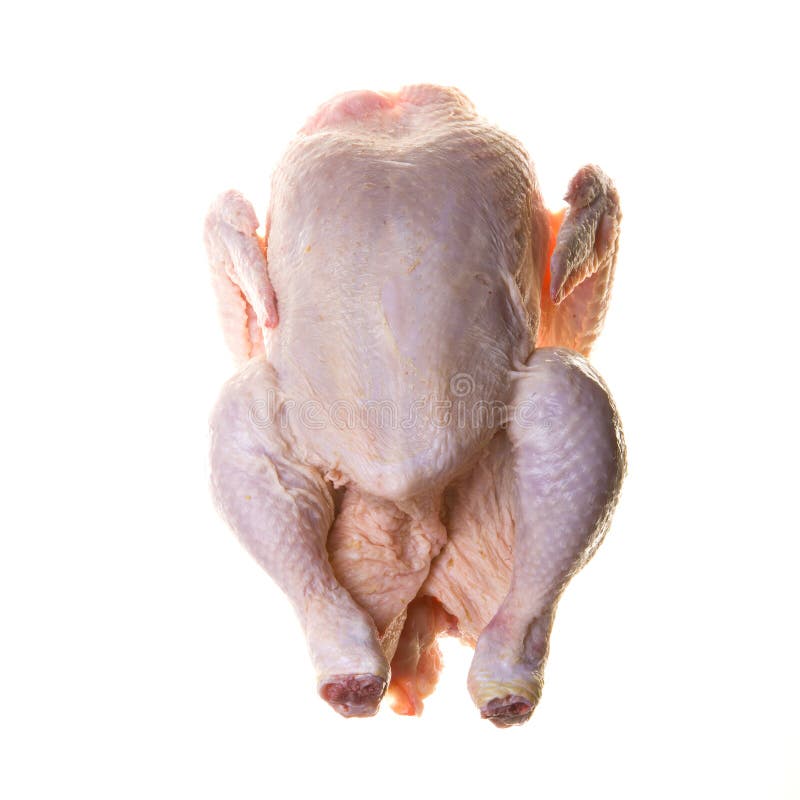 Poultry stock image. Image of meat, cuisine, snout, chicken - 3835149