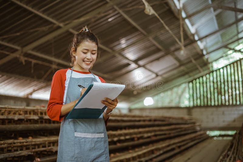 Poultry Farmer Worker Working on Clipboard in Chicken Farm Indoor Stock ...