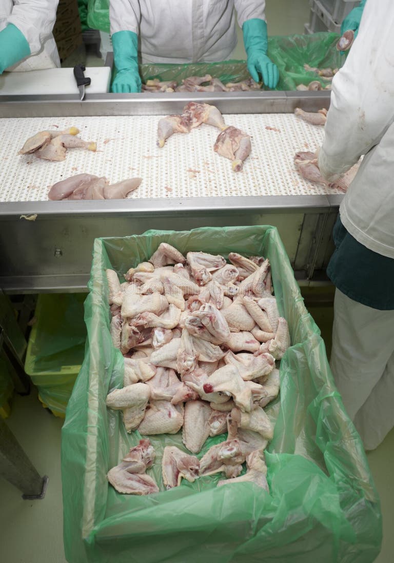 1,853 Poultry Processing Stock Photos - Free & Royalty-Free Stock ...