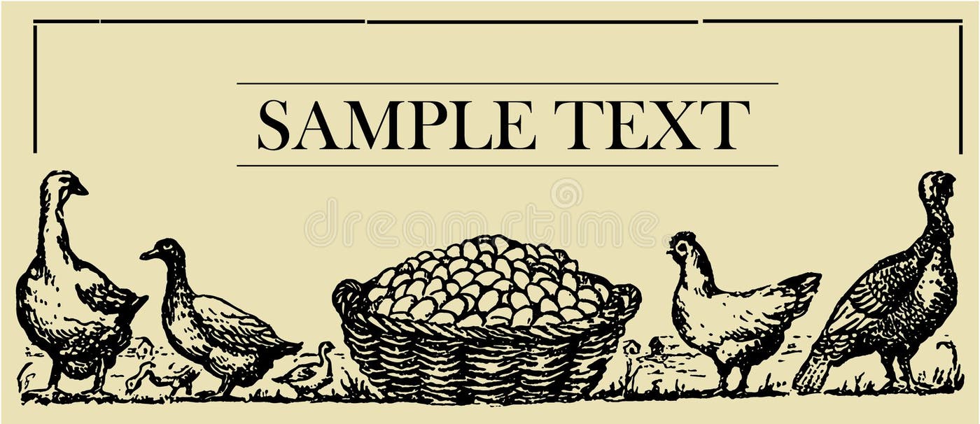 Poultry Concealment Stock Illustrations – 82,871 Poultry Concealment ...