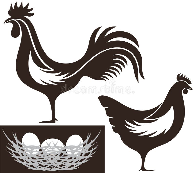 Poultry stock vector. Illustration of culture, poultry - 48928837