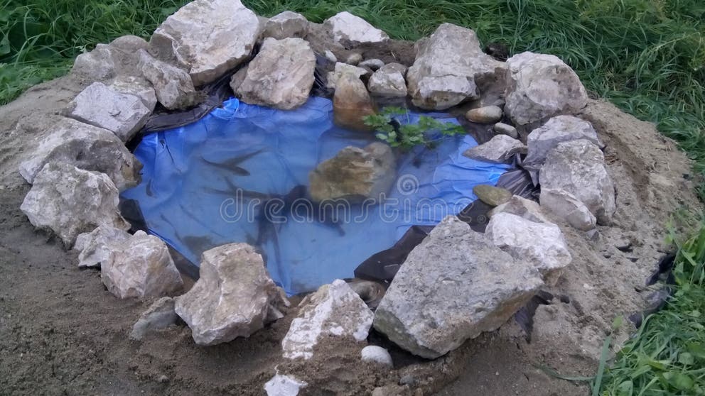 Pound stock image. Image of water, fish, pound, folie - 47087601