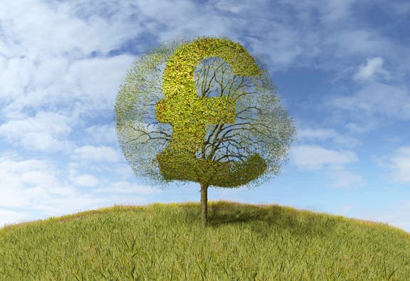 Pound sign on a tree stock illustration. Illustration of earth - 46289866