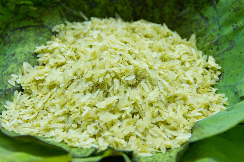 Pounded unripe rice stock photo. Image of traditional - 69792386