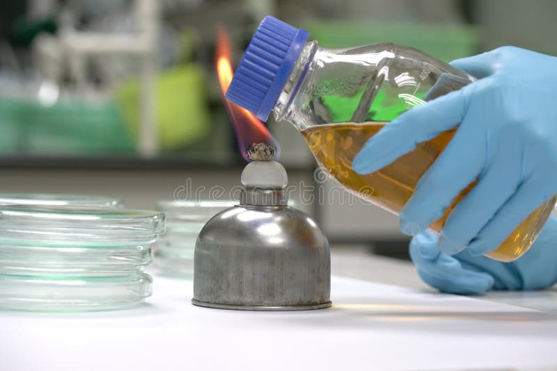 The Pour Plate Method Where in the Sample is Suspended Stock Photo ...