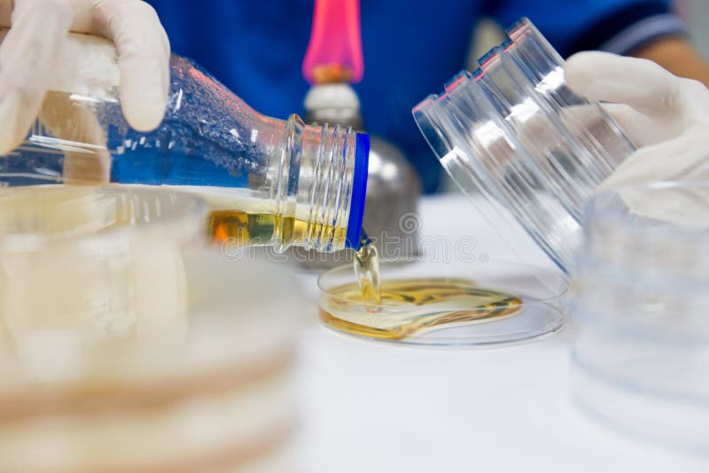 The Pour Plate Method Where in the Sample is Suspended Stock Photo ...