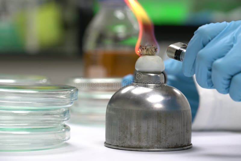 The Pour Plate Method Where in the Sample is Suspended Stock Photo ...