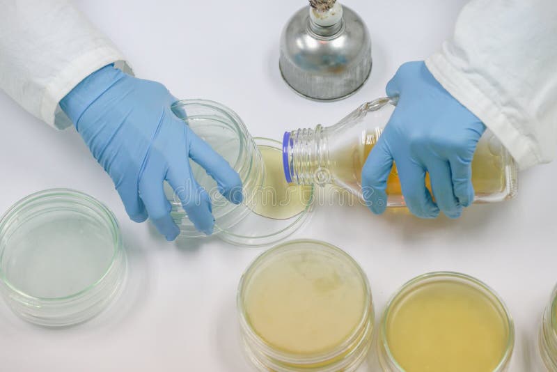 The Pour Plate Method Where in the Sample is Suspended Stock Image ...