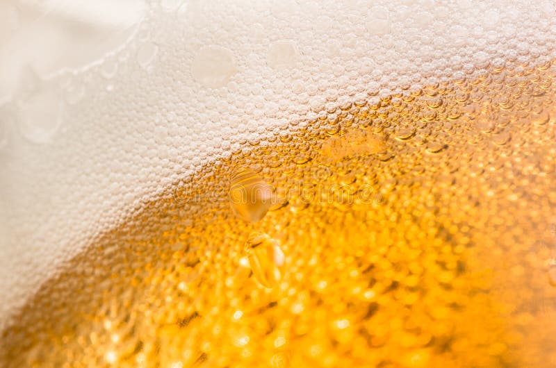 Beer in closeup stock photo. Image of drink, foam, brewery - 3600206
