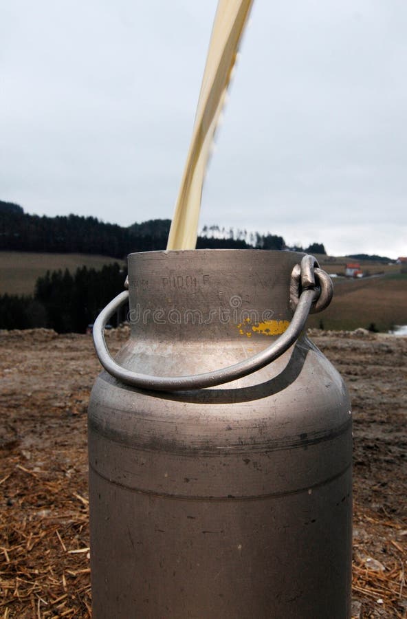 Pouring Fresh Milk in a Milk Can Stock Photo - Image of farm, price ...