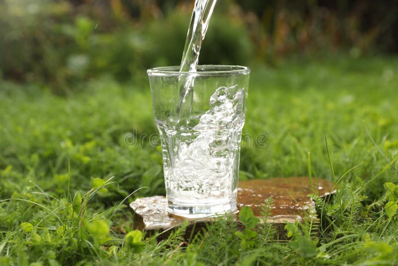 Pouring Fresh Water into Glass on Stone in Green Grass Outdoors Stock ...