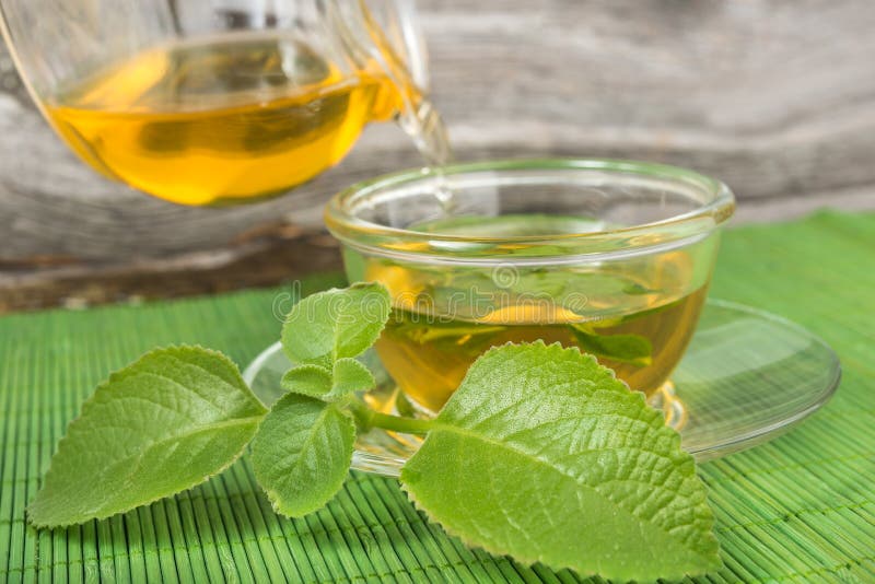 Pouring Green Tea into Cup with Mint Leaves. Stock Photo - Image of ...