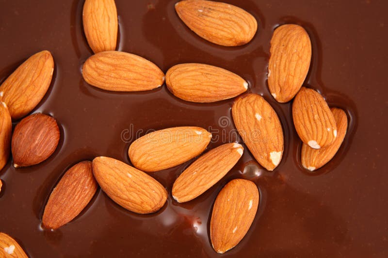 Hot Melted Chocolate and Almond Nuts Stock Image - Image of chocolate ...