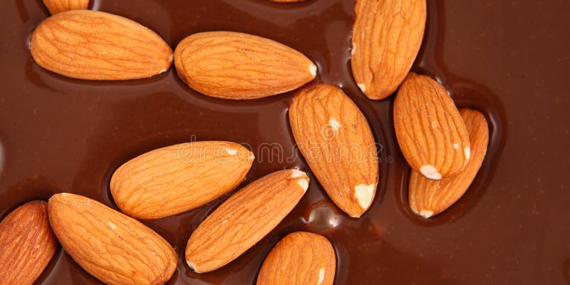 Almond in melted caramel stock photo. Image of almond - 232152234