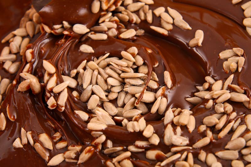 Hot Melted Chocolate with Seeds Stock Image - Image of treat, cooking ...