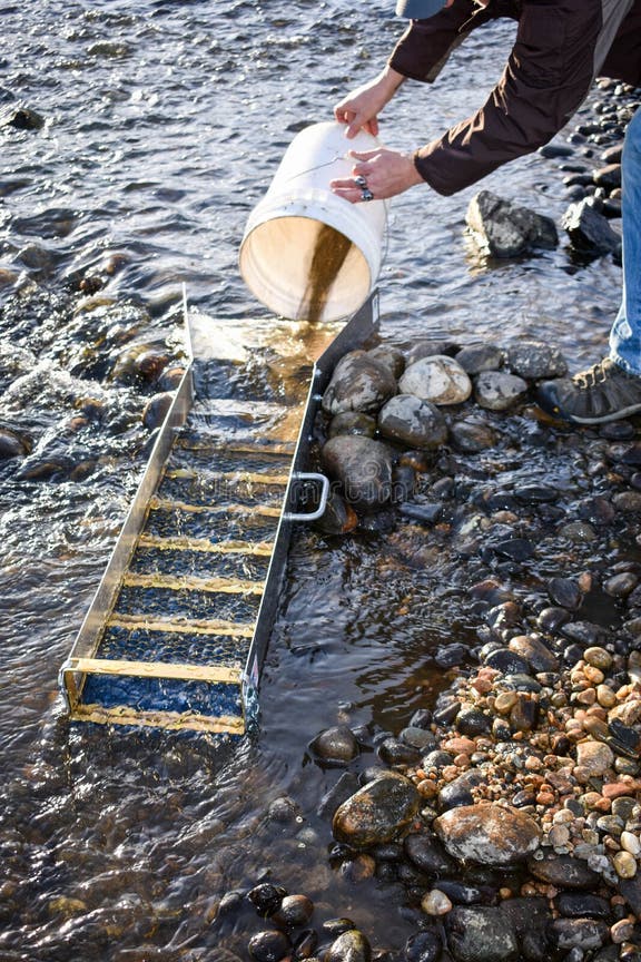 Pouring Material into a Sluice Stock Photo - Image of gold, pouring ...