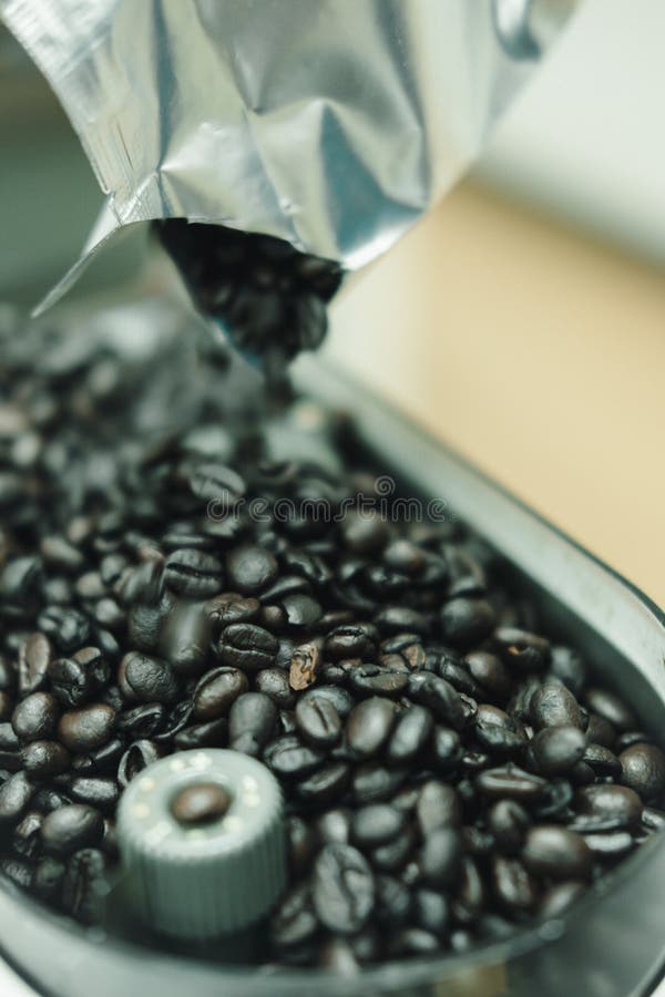 Pouring Roasted Coffee Beans into the Coffee Machine and Preparing ...